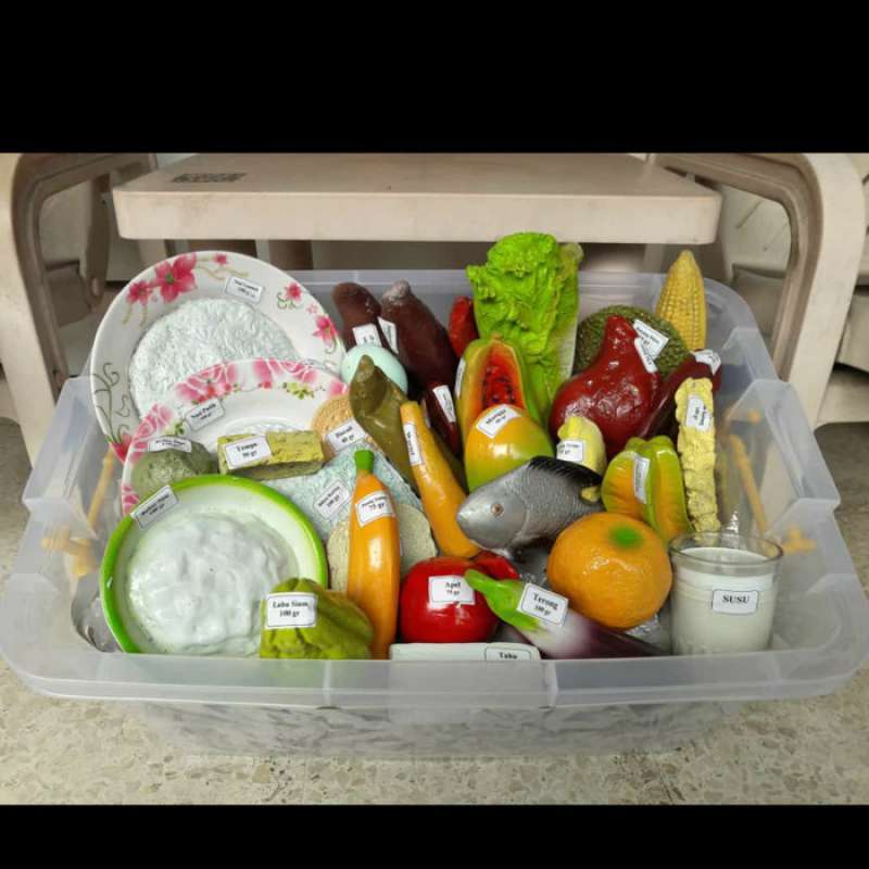 Jual Food Model Gizi 4 Sehat 5 Sempurna Replika Makanan Di Seller Rumix ...