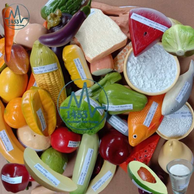 Jual Food Model 26 Item Replika Gizi Harian 4 Sehat 5 Sempurna Alat ...