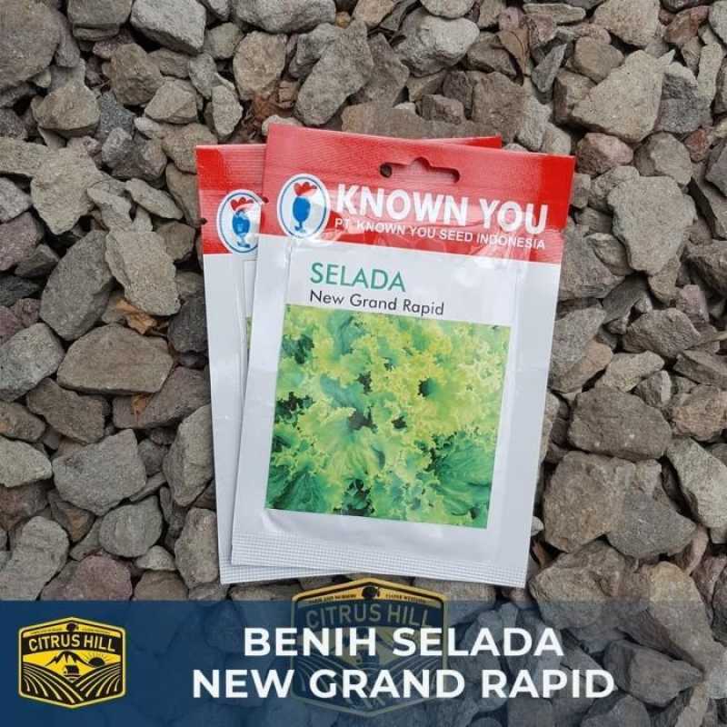 Jual Benih Selada Hijau Keriting New Grand Rapid Known You Seed Sp Di Seller Citrushill ...