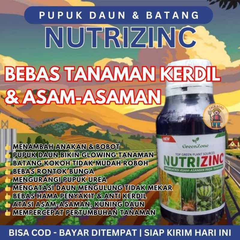 Jual Pupuk Daun Tanaman Jagung 💯 Harga Murah & Kualitas Terbaik Juni 2025