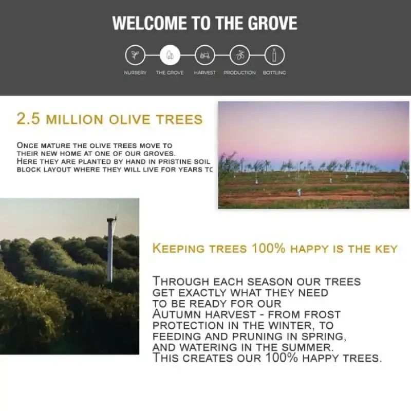Jual Cobram Estate Minyak Zaitun Robust Extra Virgin Olive Oil Di ...