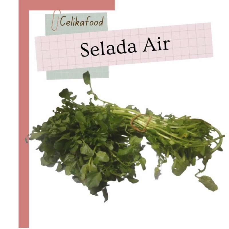 Selada Air 1 Ikat Gratis Ongkir 🏷️ Harga Murah Juli 2025