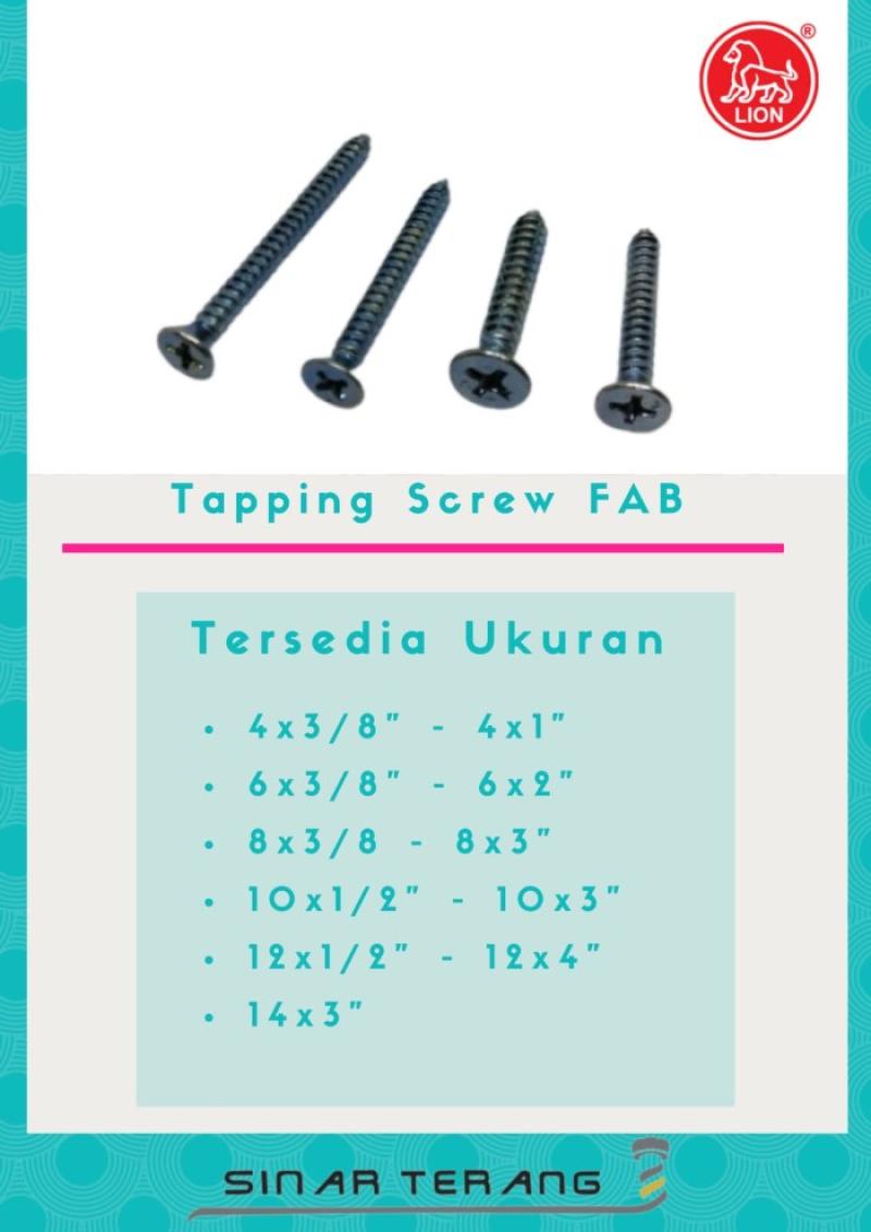 Promo Skrup Philip Fab 12 X 4 - Screws Tapping Kepala Datar 10 Cm ...