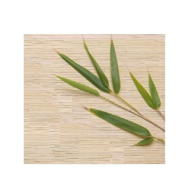 Jual Daun Bambu Segar / Bamboo Leaves [50pcs] Ukuran Sedang - Non ...