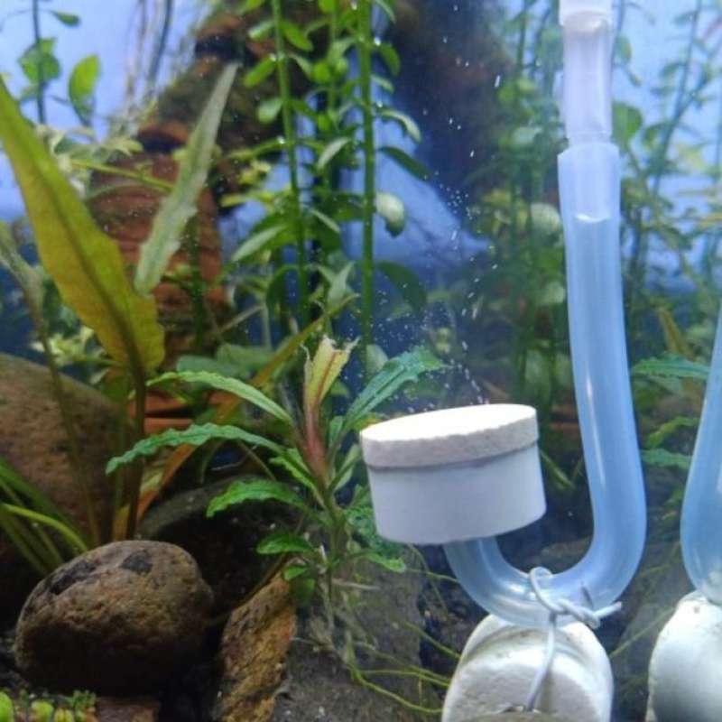 Jual Diffuser Diffuser Co2 Diy Keramik Putih Untuk Ragil Cisod Tabung ...