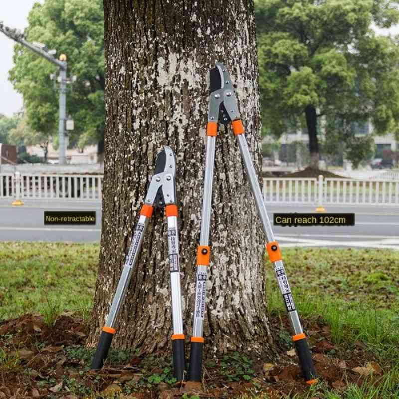 Promo Gunting Dahan Ranting Pohon Alat Pemotong Dahan Tanaman Gagang Panjang Diskon 22% di ...