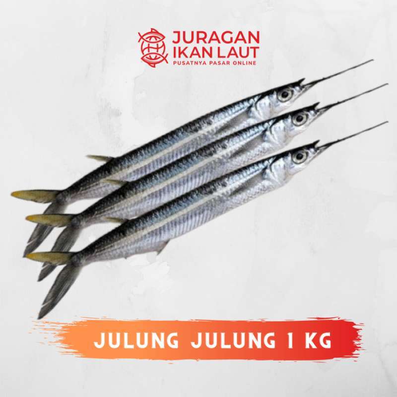 Jual Ikan Julung Julung Segar Berkualitas - 1 Kilogram Di Seller ... Jual Ikan Julung Julung Segar Berkualitas - 1 Kilogram Di Seller ...