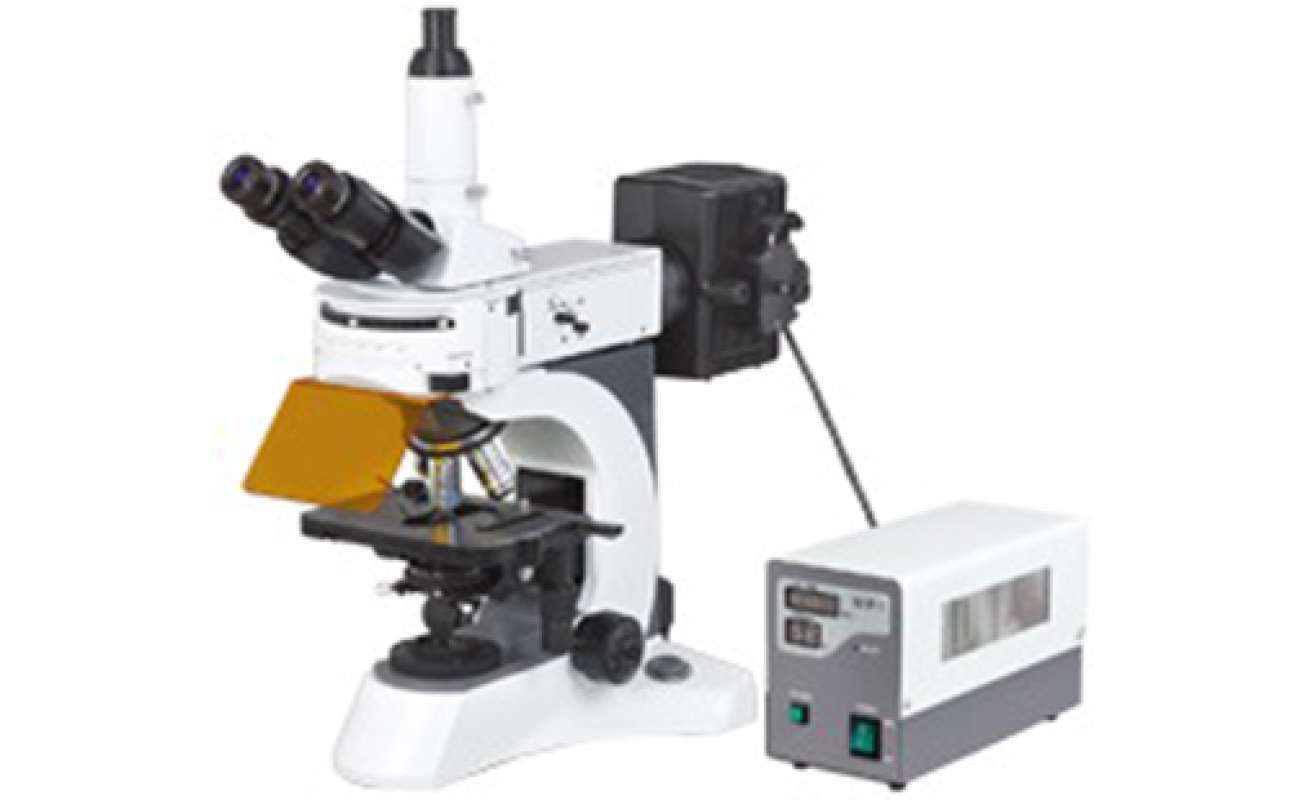 Jual N-800f Laboratory Biological Fluorescent Microscope Di Seller Toko ...