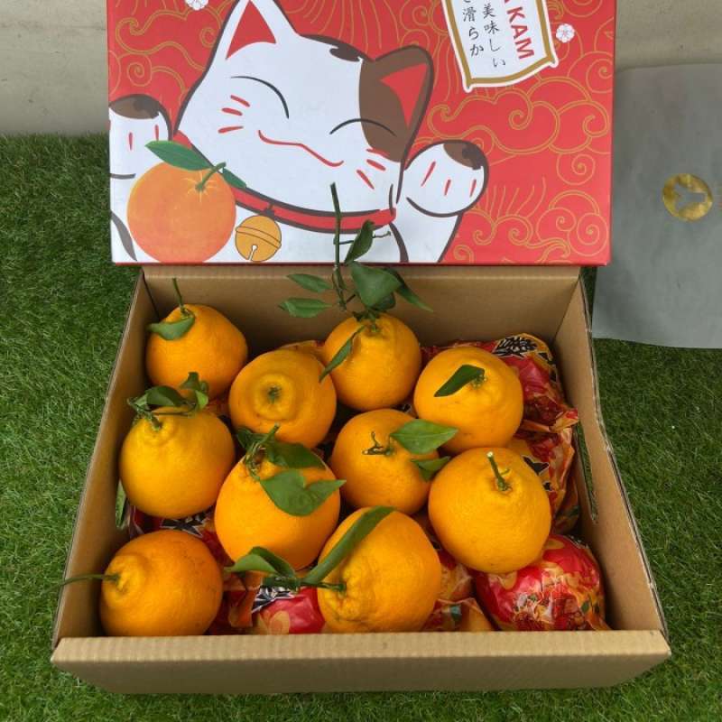 Jual Jeruk Dekopon Chuanjian Manis Yuji 4 Kg / Box Di Seller Yayoi ...