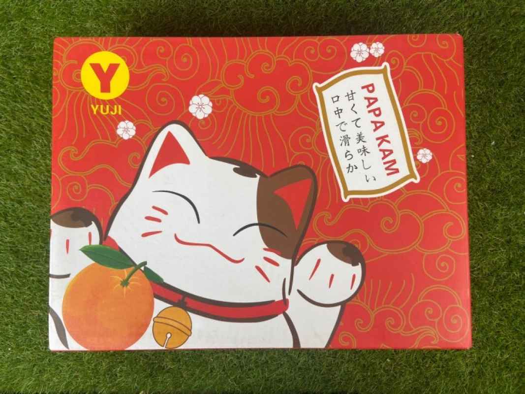 Jual Jeruk Dekopon Chuanjian Manis Yuji 4 Kg / Box Di Seller Yayoi ...