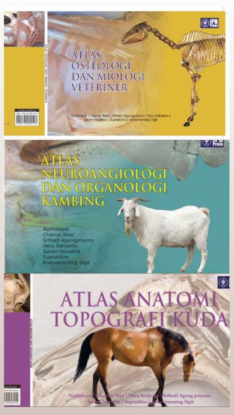 Jual Atlas Anatomi Veteriner / Atlas Anatomi Hewan di Seller Pilihan ...