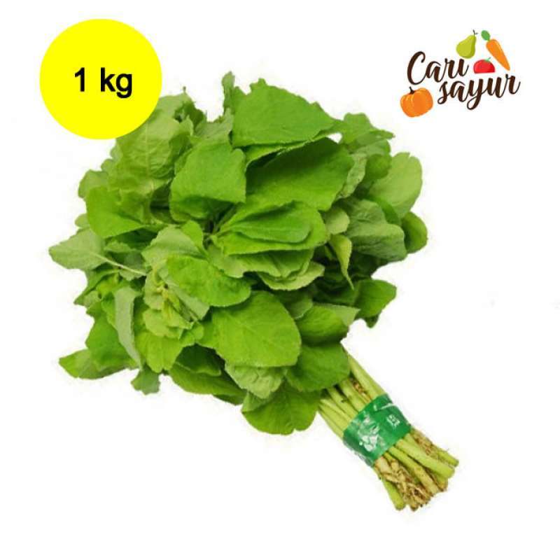 Sayur Bayam 1 Kg Gratis Ongkir 🏷️ Harga Murah Oktober 2025