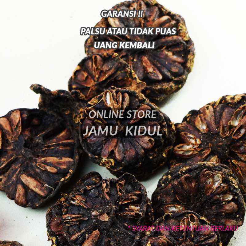 Promo Buah Pace Atau Mengkudu Kering 1 Kg Diskon 8% Di Seller Jamu ...