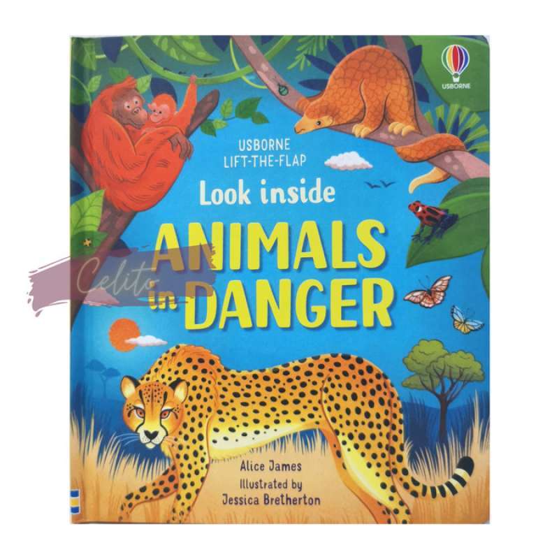 Promo Buku Usborne Book Look Inside Animal In Danger Diskon 23% Di ...