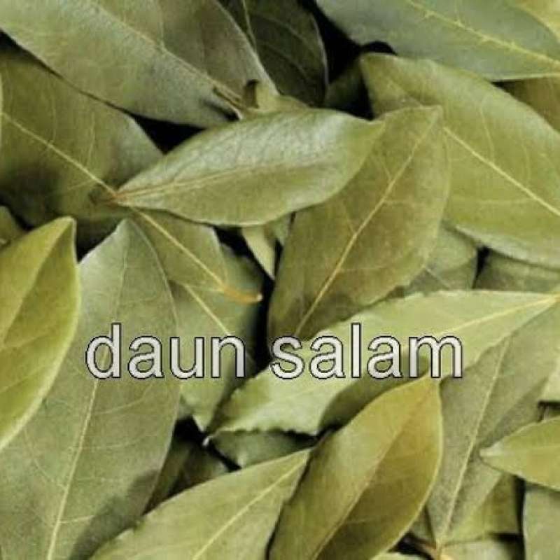 Daun Salam Kering 1 Kg Lengkap Harga Terbaru Juli 2024 | Blibli