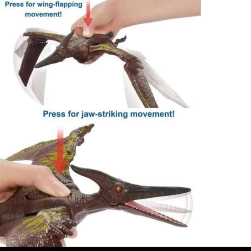 Promo Jurassic World Pteranodon Dinosaurus / Mainan Action Figure ...