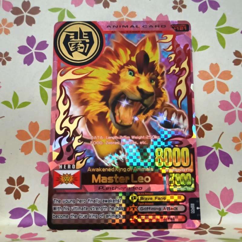 Promo Animal Kaiser Ultra Master Leo Evo 2 Diskon 23% Di Seller Kitchen ...
