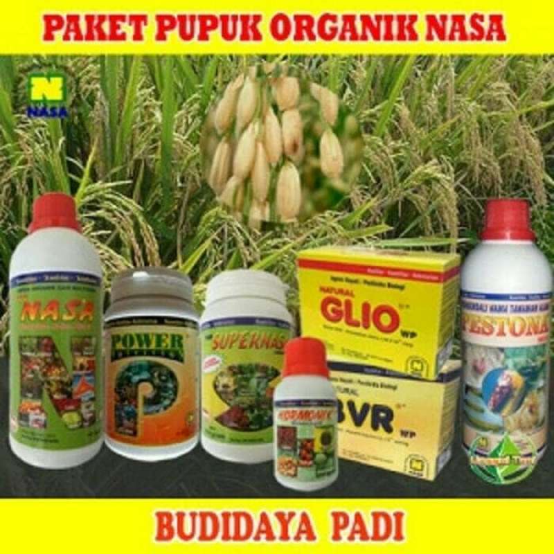 Promo PAKET BUDIDAYA PADI DENGAN ORGANIK NASA JAKARTA Diskon 23% di ...