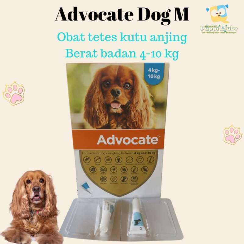 Promo Advocate Dog M - obat tetes kutu anjing 4-10kg Diskon 23% di ...