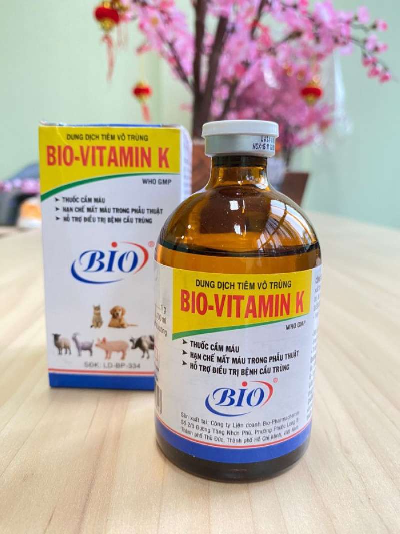 Promo Obat Cedera Pendarahan Hewan - Bio Vitamin K 100 Ml Diskon 23% Di ...