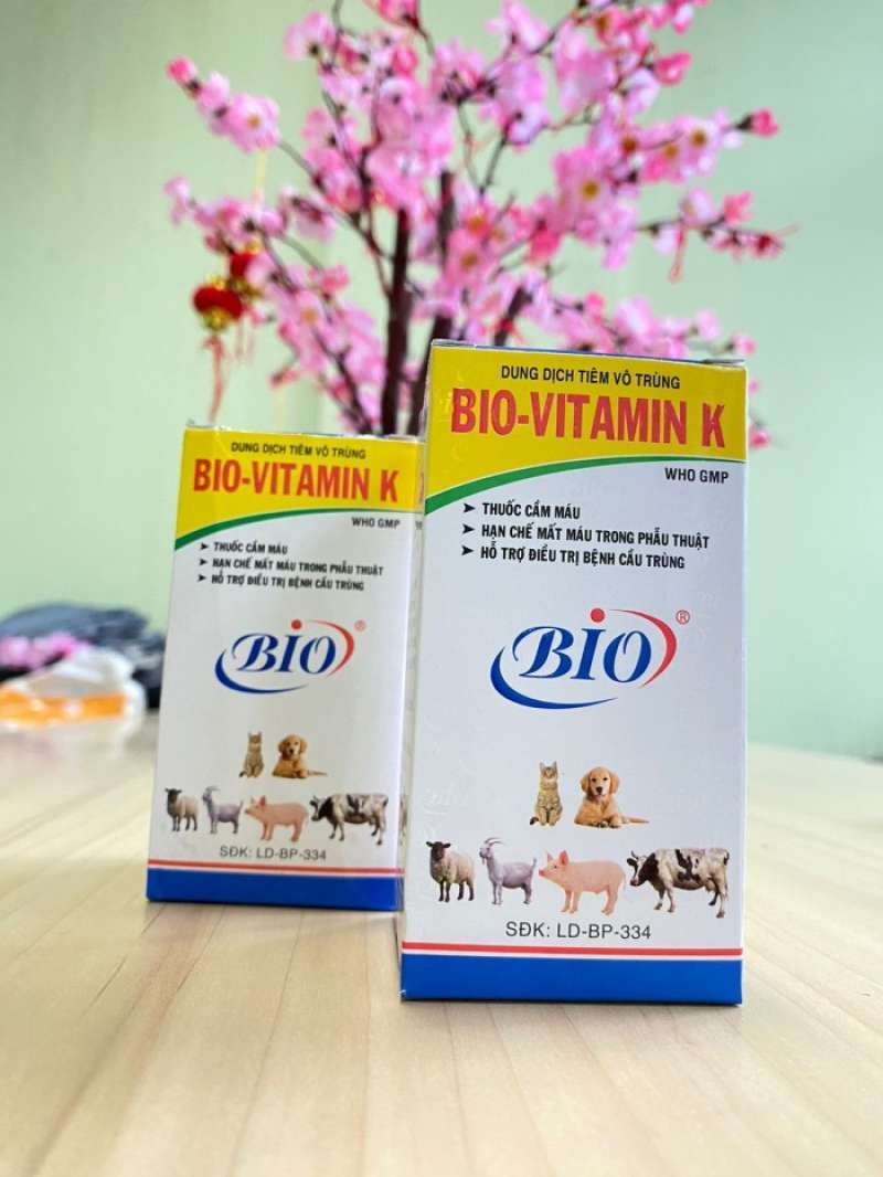 Promo Obat Cedera Pendarahan Hewan - Bio Vitamin K 100 Ml Diskon 23% Di ...
