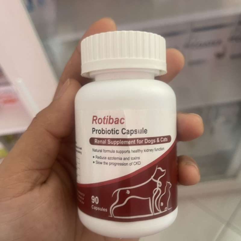 Promo Rotibac probiotic Capsule per botol Diskon 23% di Seller Haura ...