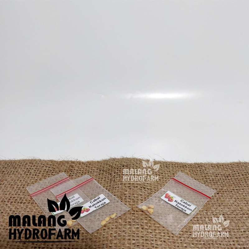 Jual Benih Cabai Katokkon Toraja Unggulan Berkualitas bibit biji repack cabe khas lada katokon ...