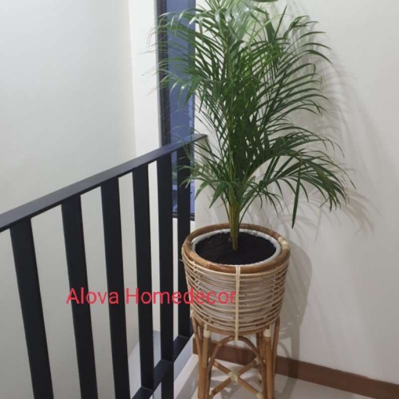Promo Standing Pot Tanaman Bahan Rotan - Tinggi 55 Cm Diameter 30 Cm ...