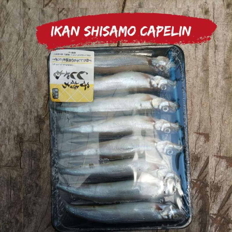 Promo Ikan Shisamo Fish IKan Capelin Fish Frozen Fresh Diskon 7% di ...