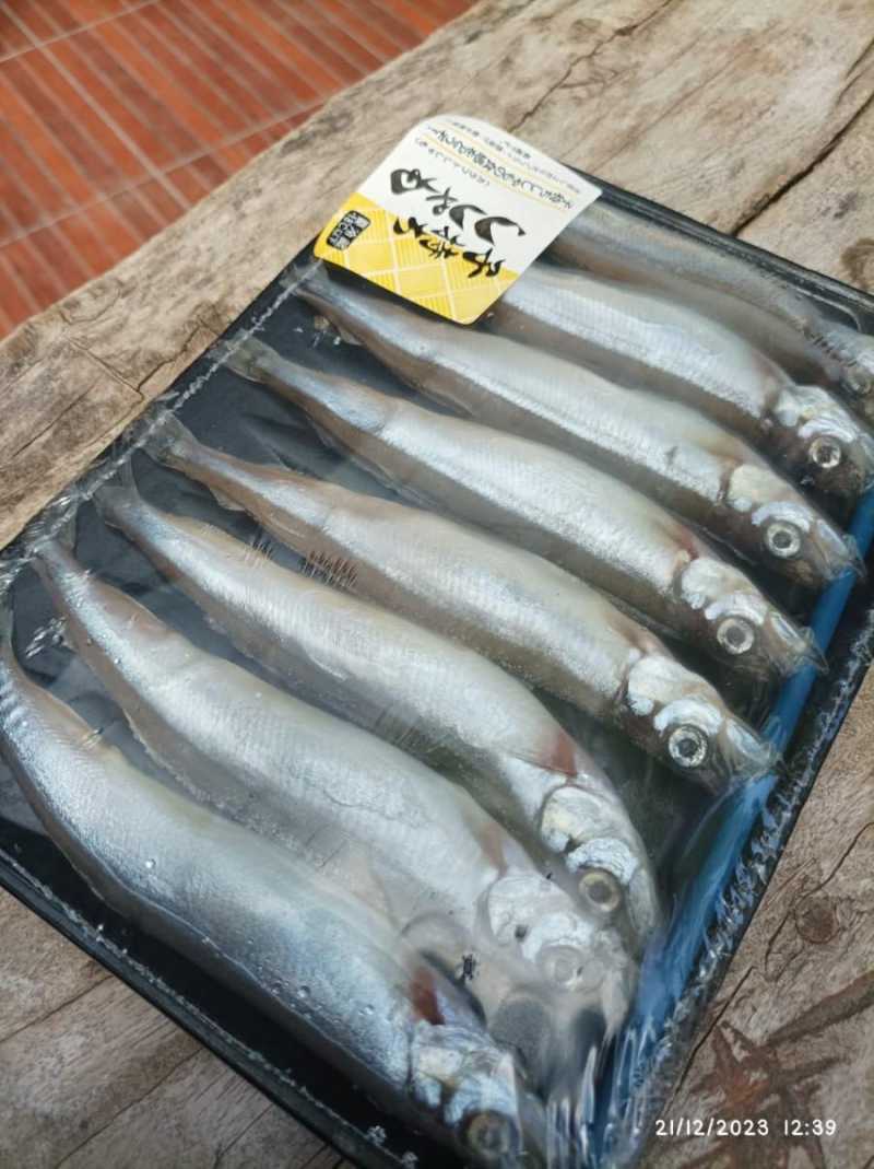 Promo Ikan Shisamo Fish IKan Capelin Fish Frozen Fresh Diskon 7% di ...