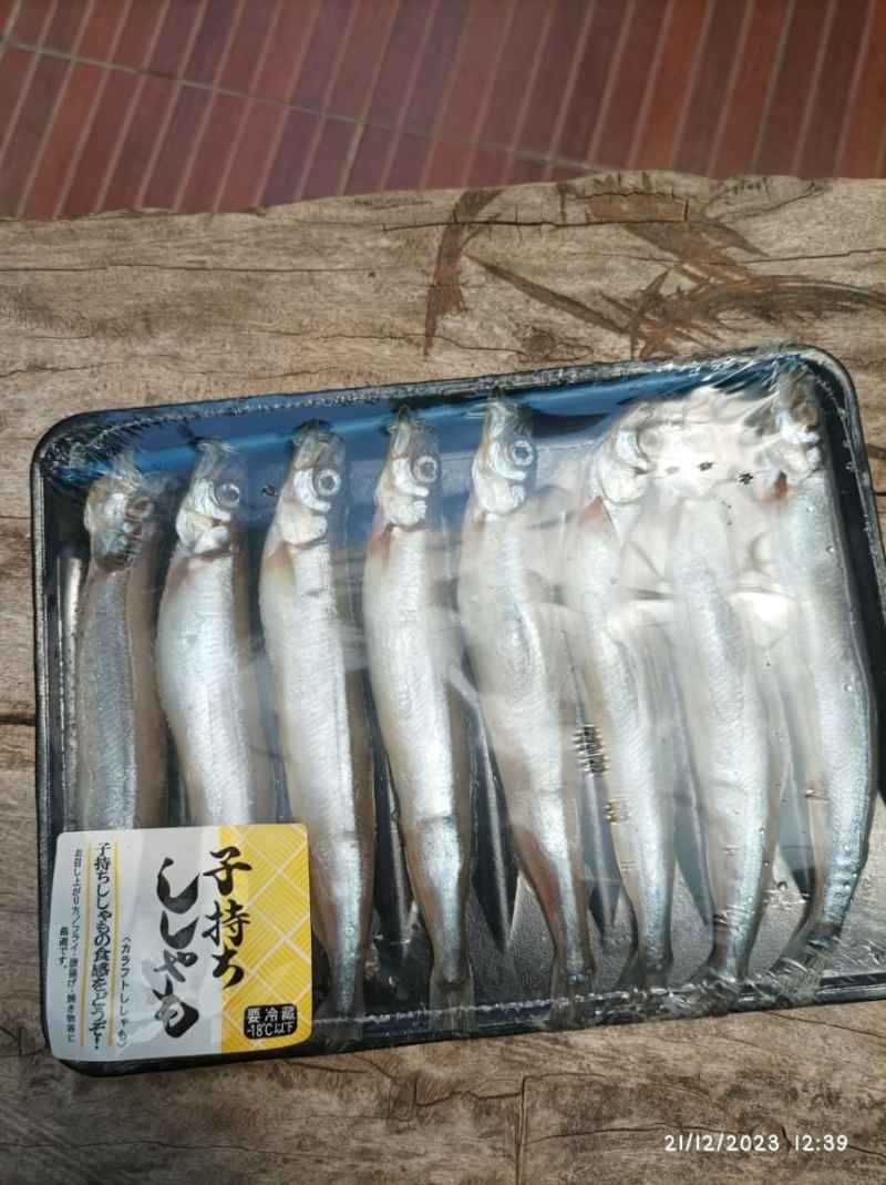 Promo Ikan Shisamo Fish IKan Capelin Fish Frozen Fresh Diskon 7% di ...
