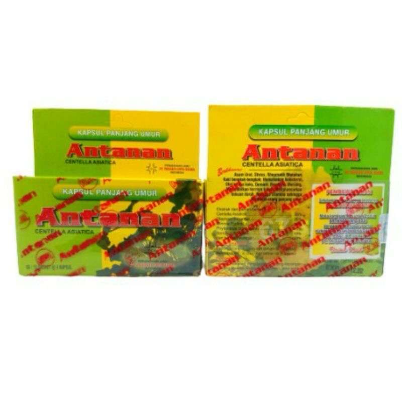 Jual Antanan Kapsul Panjang Umur Pegagan Centella Asiatica Di Seller ...
