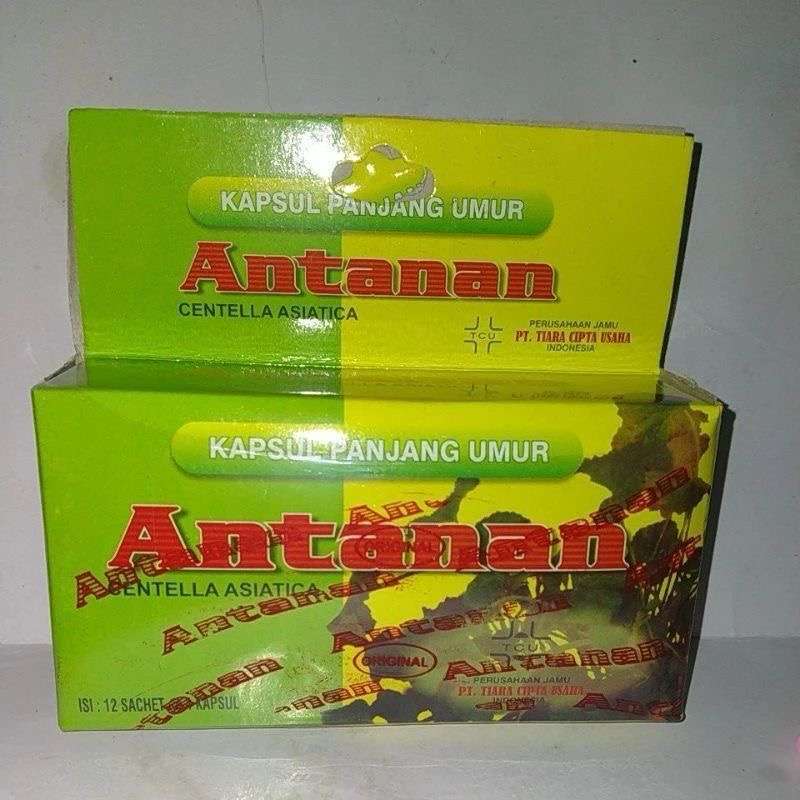Jual Antanan Kapsul Panjang Umur Pegagan Centella Asiatica Di Seller ...
