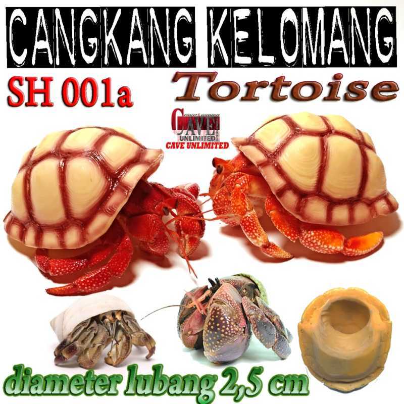 Promo Sh001a Shell Cangkang Rumah Kelomang Umang Hermit Crab Keong ...