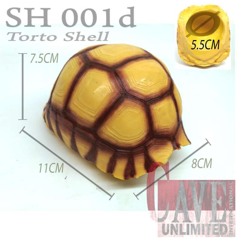 Promo Sh001a Shell Cangkang Rumah Kelomang Umang Hermit Crab Keong ...