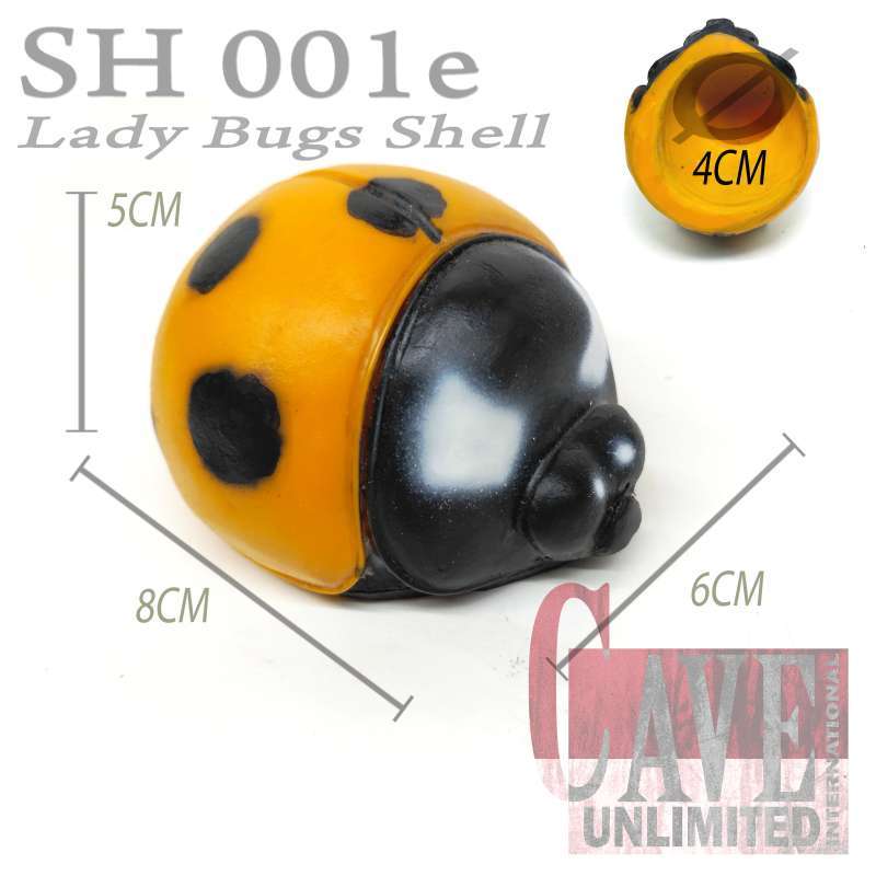 Promo Sh001a Shell Cangkang Rumah Kelomang Umang Hermit Crab Keong ...