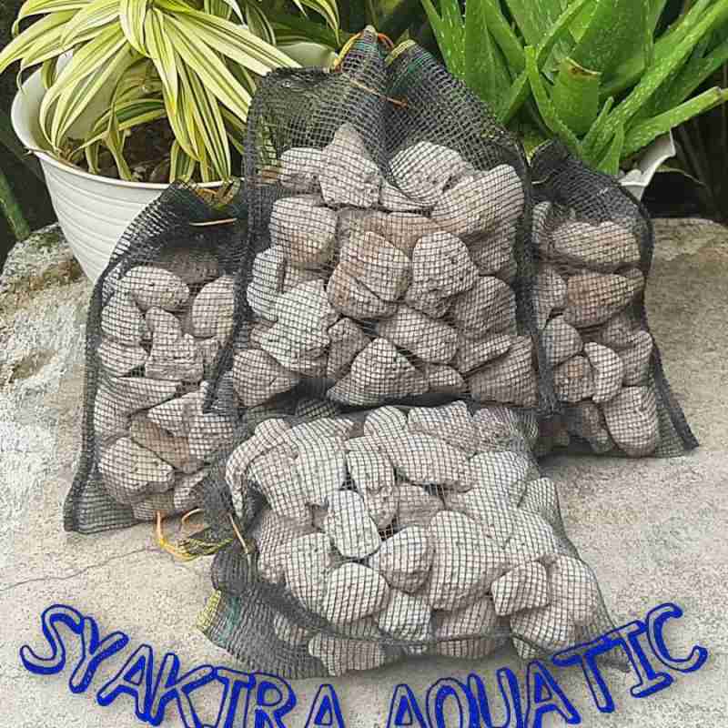 Jual Batu Apung Media Filter Biologis Aquarium Dan Kolam Ikan 1kg ...