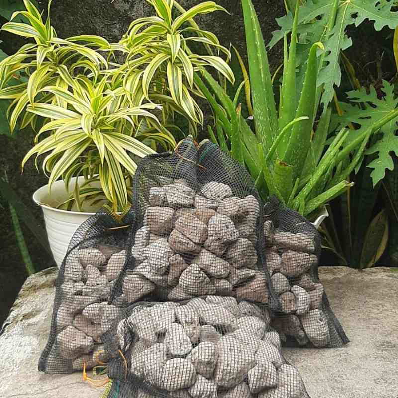 Jual Batu Apung Media Filter Biologis Aquarium Dan Kolam Ikan 1kg ...
