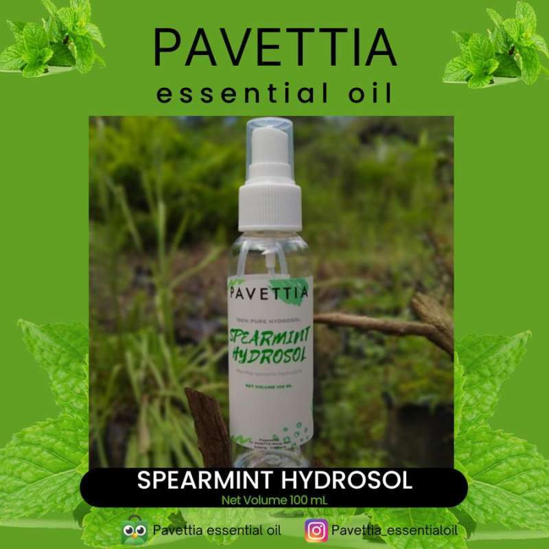 Jual Sampel 100 Ml - Spearmint Hydrosol - Hidrosol Spearmint Di Seller ...
