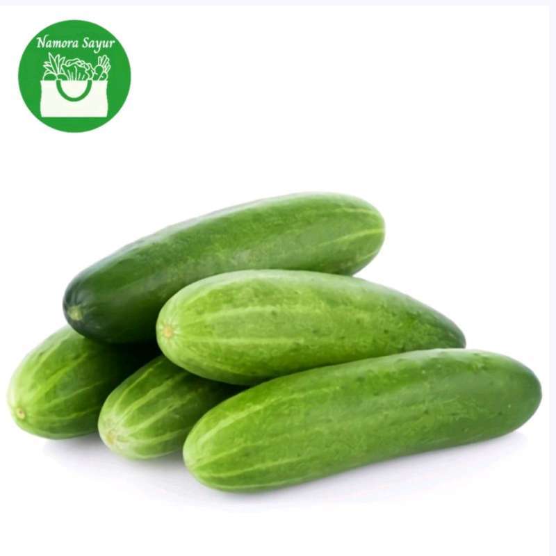 Jual Harga Timun 1 Kg Murah - Harga Grosir Agustus 2024 | Blibli