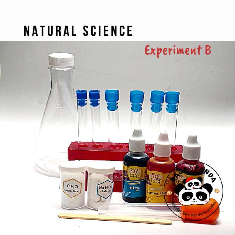 Promo Paket Sains Anak Tabung Reaksi Erlenmeyer Natural Science For ...