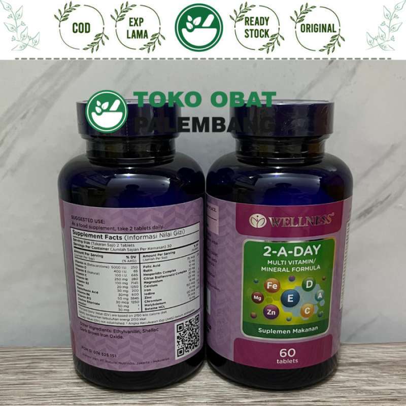 Promo Wellness 2 A Day 60 Tablet Wellness Multivitamin Mineral 2-a-day ...