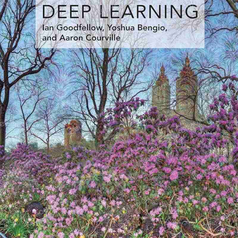 Jual Buku Deep Learning By Ian Goodfellow Di Seller Noelle - Cengkareng ...