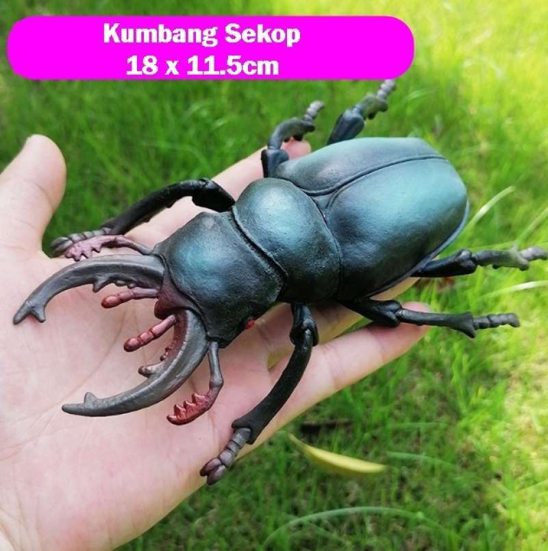 Jual Mainan Edukasi Anak Hewan Binatang Serangga Nsect Figure Ukuran ...
