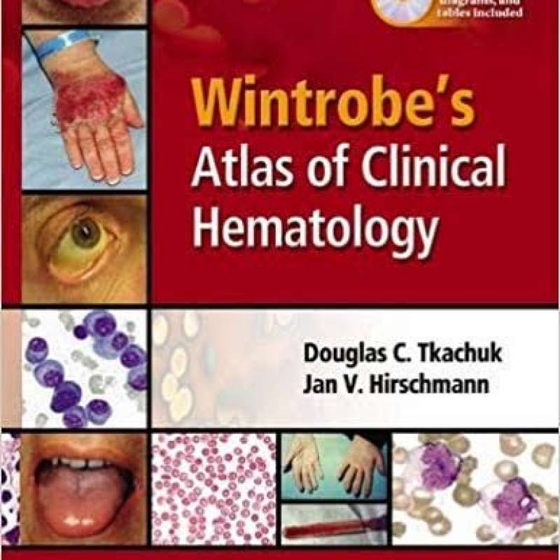 Promo Wintrobe Atlas Of Clinical Hematology Diskon 23% Di Seller ...