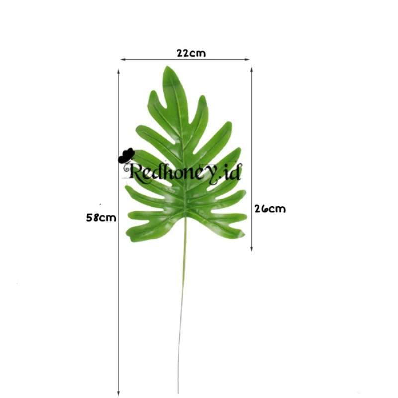Promo Daun Pillow Dendron Atau Daun Jari 1 Lusin Diskon 23% Di Seller ...