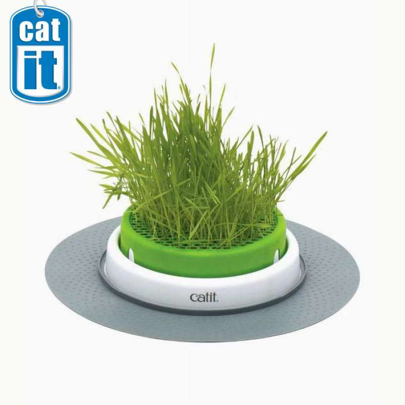 Jual Paket Tempat Rumput Kucing Catit Senses Grass Planter Di Seller ...