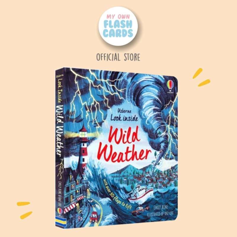 Promo Usborne Look Inside Wild Weather With Over 50 Flaps Children Kids ...