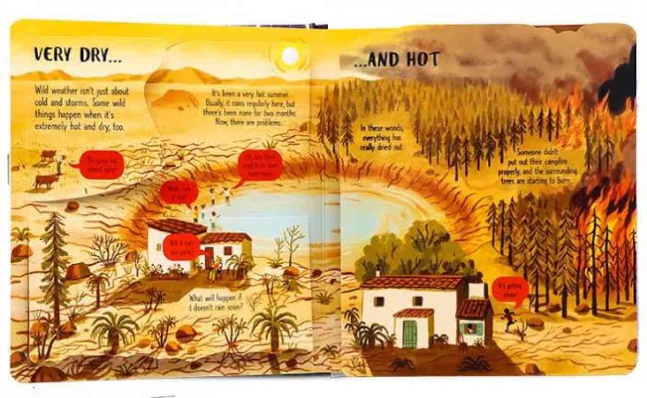 Promo Usborne Look Inside Wild Weather With Over 50 Flaps Children Kids ...