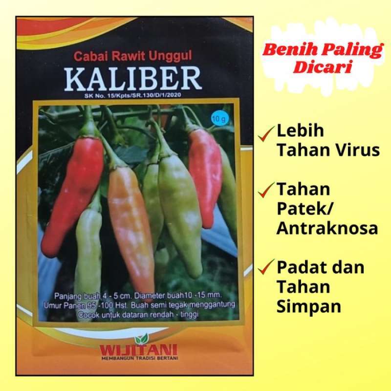Promo Benih Bibit Cabe Rawit Setan Kaliber 10g Dari Wijitani Terbaru ...